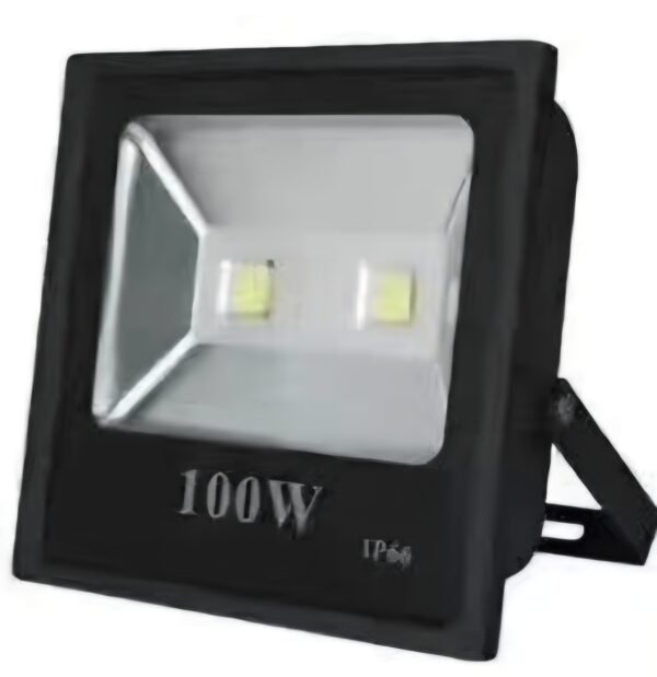 Led outdoor rgb flood light 100w remote control - Newon